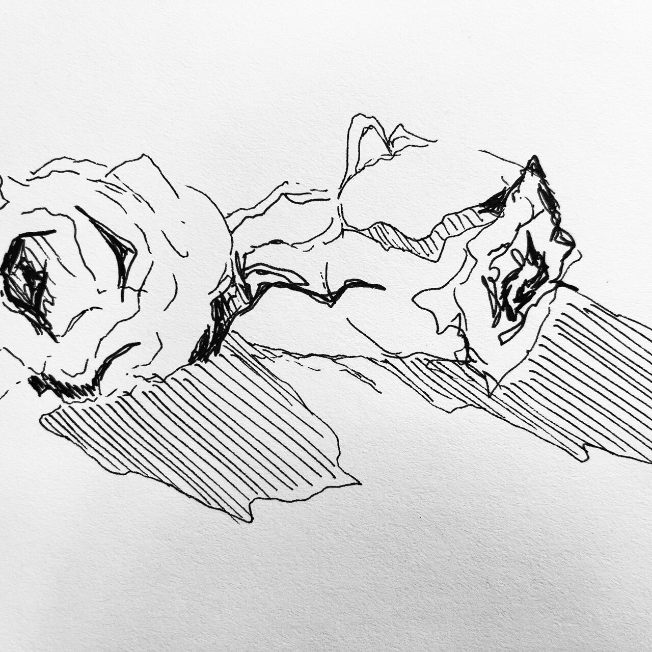 Pen And Ink Drawing Techniques An Exercise For Drawing With Implied